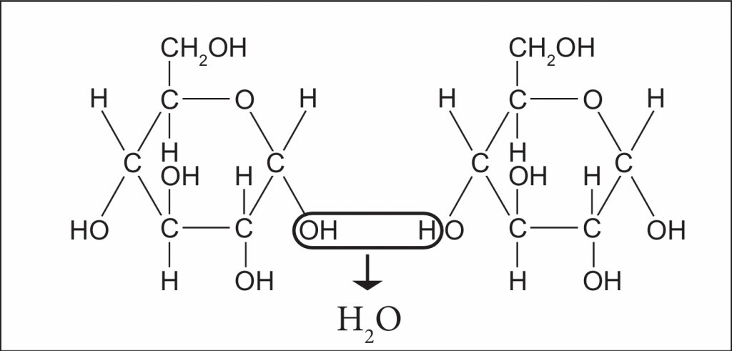 Sudut Pengayaan 4 - Kimia Tingkatan 5 (KSSM) Bab 4 - Kimia SPM